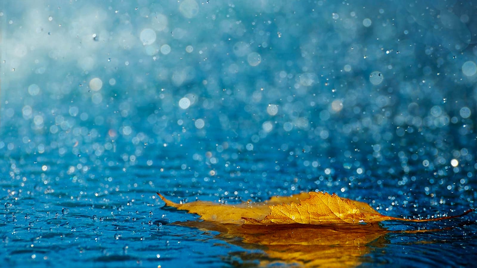 BC Water News - All of the Latest Water News Personalized for You